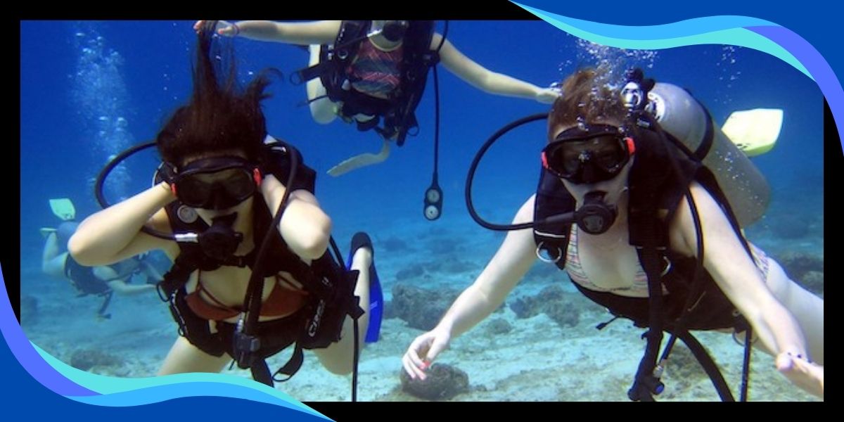 Best Scuba Diving in Cozumel: Dive into Adventure