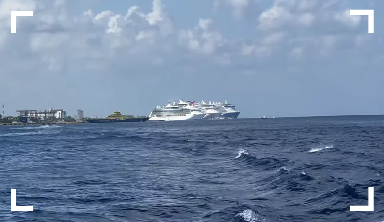 Passion Island Cozumel Excursion - Isla de Pasion